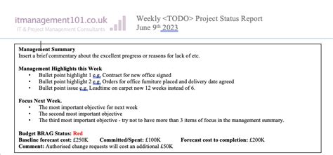 Project Status Report Template Microsoft Word Free Download