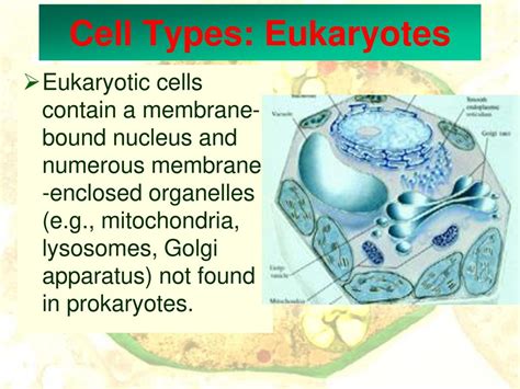 Warm Up Using Your Text Book Define The Following Words Be Sure To Space Out Words Every 8