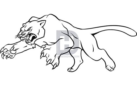 Panther Line Drawing At Explore Collection Of
