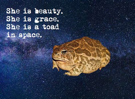 Space Toad Rtoadtime
