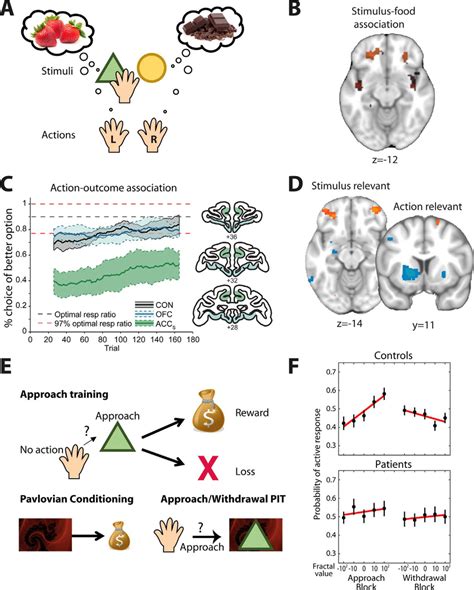 Different Brain Valuation Systems A Illustration Of A Simple Binary