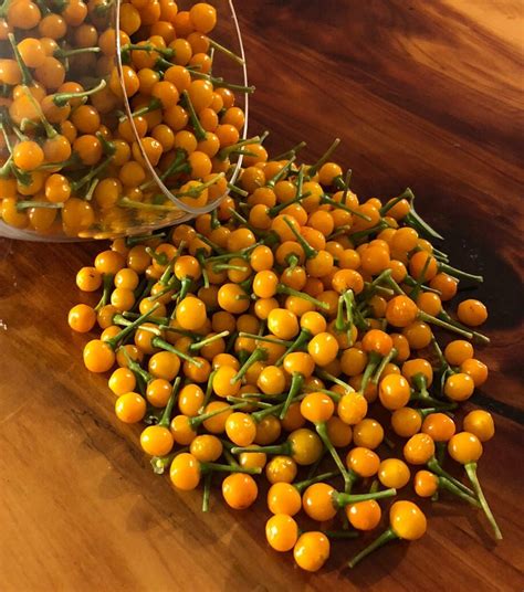 Charapita Yellow Aji Amarilo Chili 20 Seeds Etsy Uk