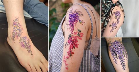 23 Wisteria Tattoo Ideas Balcony Garden Web