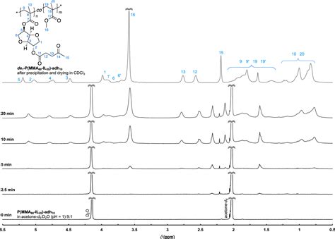 Covalent Adaptable Polymethacrylate Networks By Hydrazide Crosslinking