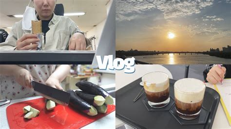 Vlog 주2회 운동도 운동이잖아요 가지밥해서 일주일 내내먹고 닭가슴살을 먹지만 디저트도 꼭 먹는 평범한 직장인 일상 Youtube