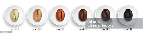 커피 로스팅 가이드 화이트 플레이트 벡터 일러스트레이션에 다양한 로스팅 단계에서 사실적인 커피 콩 곡초류에 대한 스톡 벡터 아트 및 기타 이미지 Istock
