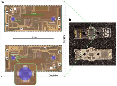 electronic implementation a sensor chip micrograph with the inset