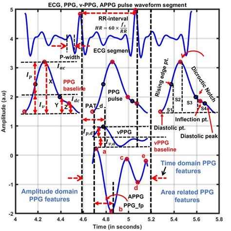 Ecg Ppg V Ppg And Appg Signals With Characteristic Points Download Scientific Diagram