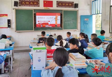 衡南县三塘联合学校防森林火灾 护绿水青山 教育资讯 新湖南