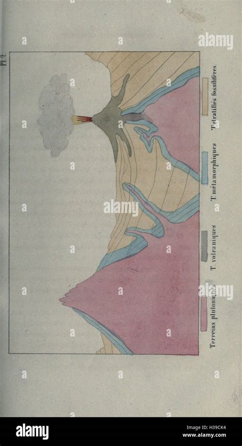 A Foundational Work On Paleontology Covering The Basic Principles Of The Science Including