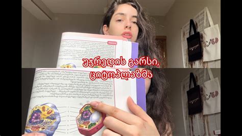 2 უჯრედის გარსი კედელი გლიკოკალიქსი პლაზმური მემბრანა ციტოპლაზმა