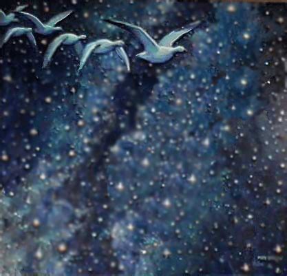 Snow Geese Nature Poetry Nature Nature Art Art And Nature Art In Nature Nature In Art Wildlife