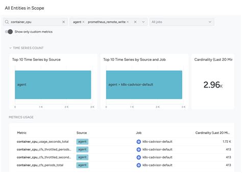 Metrics Usage Sysdig Docs