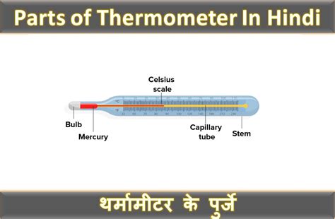 Laboratory Thermometer Labeled