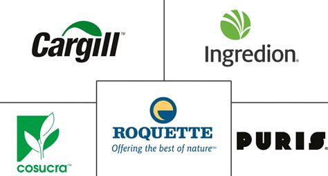 완두콩 가공 재료 시장 규모 점유율 및 2030년 성장 추세 보고서