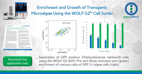 Optimizing Transgenic Microalgae Growth WOLF G2 Cell Sorter