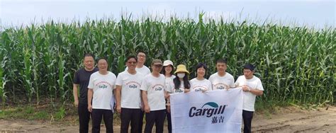 Making Corn Farming In China More Sustainable Safe And Contemporary