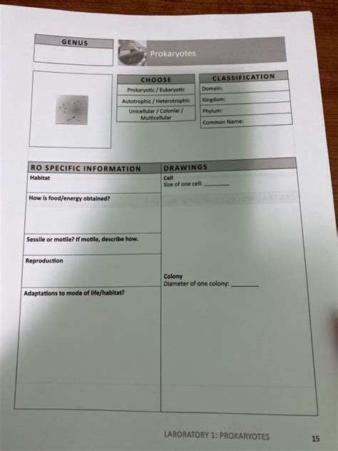 Solved Genus Prokaryotes Classification Domain Choose