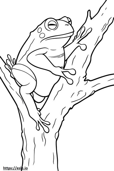 Gray Tree Frog Cute Coloring Page