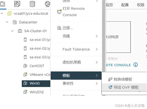 Vcenter Server 服务使用 Csdn博客