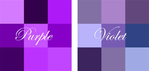 Purple 和 Violet 的差別在哪裡？ Hinative