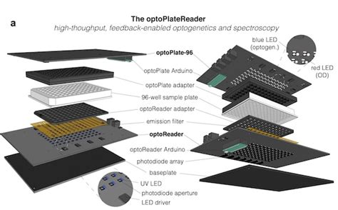 Illuminating The Unseen Former Penn Igem Team Publishes Award Winning