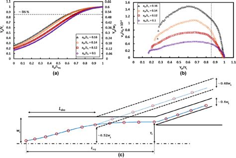 The Phenomenon Of Fast And Slow Particle Migration Observed In Download Scientific Diagram