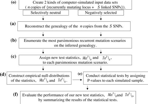 Overall Flowchart Of The Simulation Analysis In This Study See Methods Download Scientific