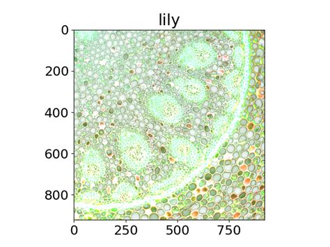 科学图像 — Skimage 0250 文档 Scikit Image 图像处理库 科学图像 — Skimage 0250 文档 Scikit Image 图像处理库
