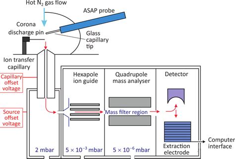 Schematic Of The Asap Ms Instrument See Text For Description Adapted Download Scientific