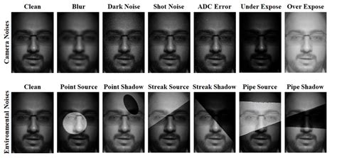 Visualizing Physics Informed Noise Augmentations Observe How The