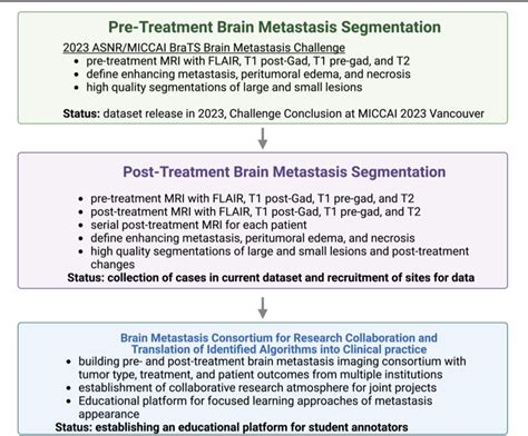 The Brain Tumor Segmentation Brats Mets Challenge 2023 Brain Metastasis Segmentation On Pre