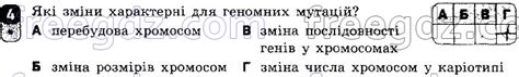 ГДЗ відповіді та розвязання до вправи №4 Варіант 1 Контрольна робота 3 Збереження та
