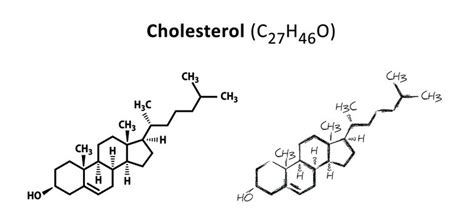 Hdl Cholesterol Structure