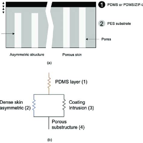Illustration Of A Composite Membrane And B Analogous Electric