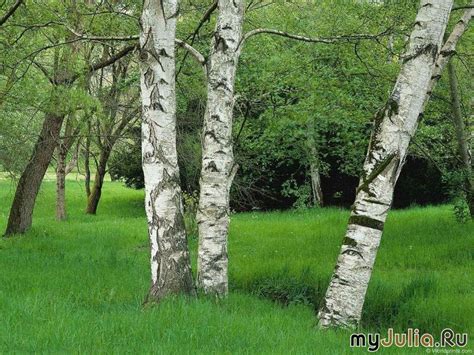 песня о маме Дневник группы «Тексты песен Группы женская социальная сеть