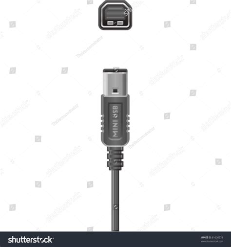 Usb Type B Plug Socket Part Stock Vector Royalty Free 81608278