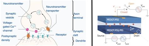 An Ultra Low Power Artificial Synapse For Neural Network Computing