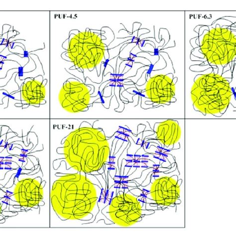 Schematic Illustration Of Microphase Structure Download Scientific