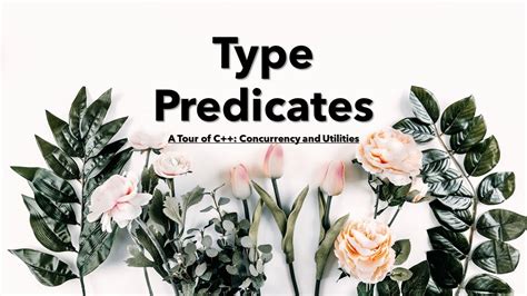 Type Predicates A Tour Of C Concurrency And Utilities Youtube