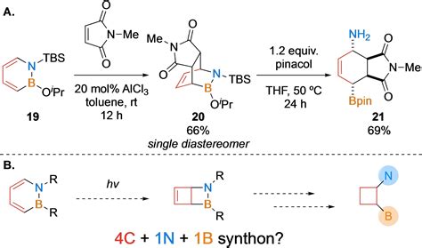 Boron‐nitrogen‐containing Benzene Valence Isomers Ozaki 2024