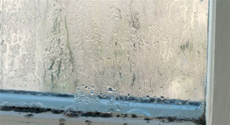 How To Remove Grids From Double Pane Windows Artofit