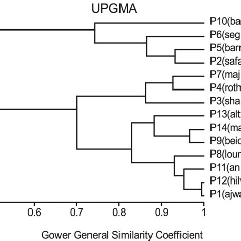 The Degree Of Similarity And Difference In The Trunk Characteristics