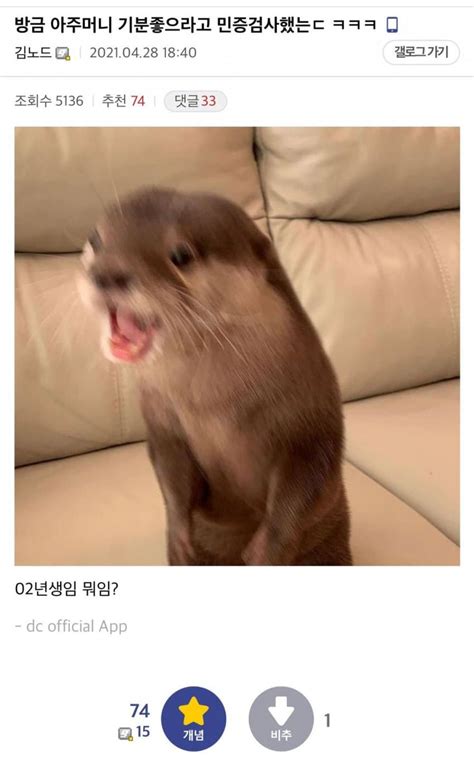 싱글벙글 아주머니 기분좋으라고 민증검사한사람 자유게시판 라이브스코어 라이브맨 실시간 라이브스코어 토토사이트 추천 꽁머니 먹튀검증 커뮤니티 안전놀이터 추천 배당흐름