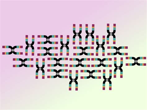 Trinucleotide Repeat Expansion Disorders Trinucleotide Repeat Expansion Disorders