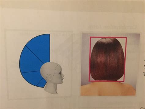 Module 1 Review Flashcards Quizlet