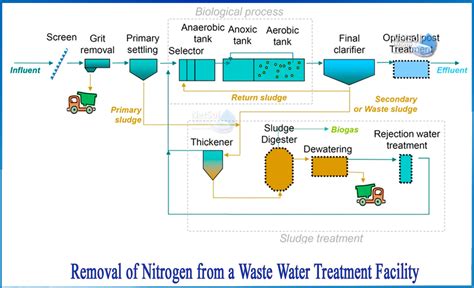 Nitrate Removal Septic System