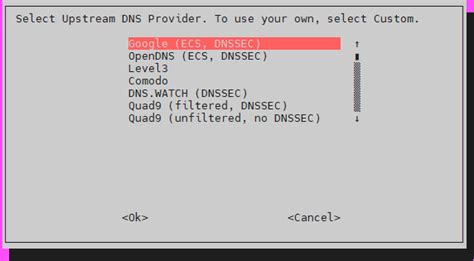 Installing Pihole On Raspberry Pi Ru Networking And Software