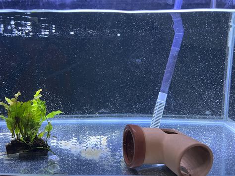 Canister Filter Water Flow Issue Raquariums