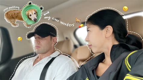 내가 사랑하는 두 남자가 다쳤어요 🥲병간호vlog Youtube